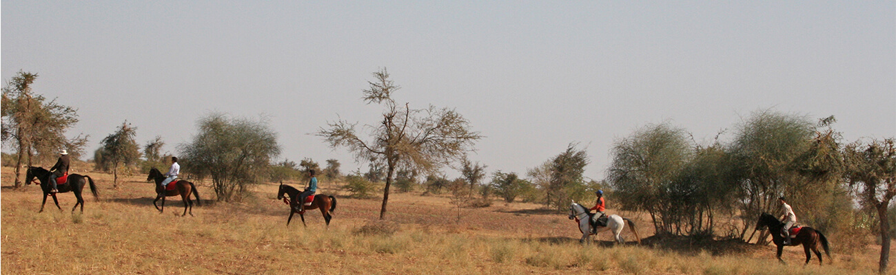 House Of Rohet# Rohet Garh