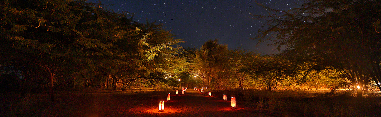 House Of Rohet# Rohet Garh